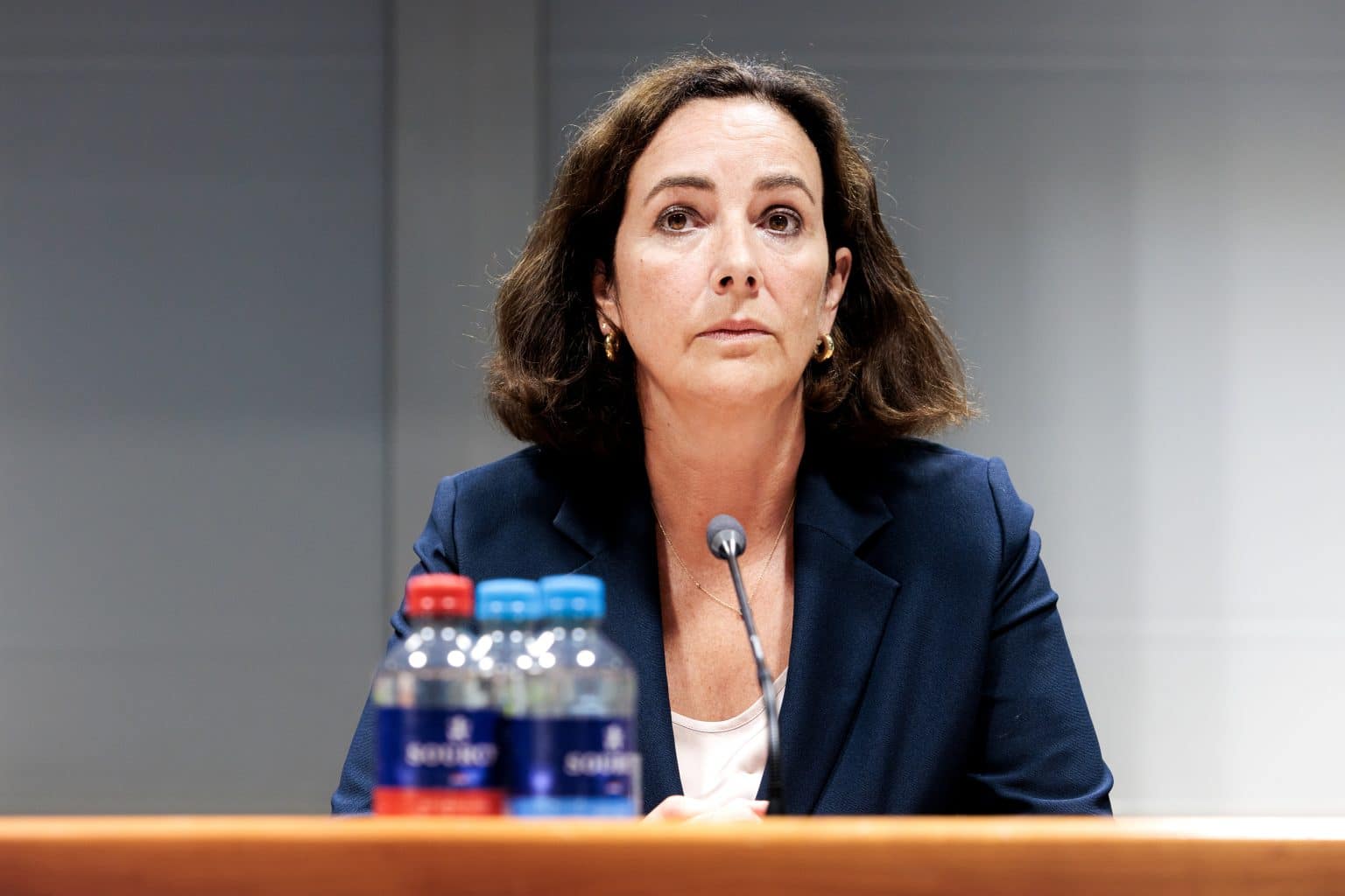 Femke Halsema spreekt over politiek en 'woke' bij Zomergasten - Weekend ...